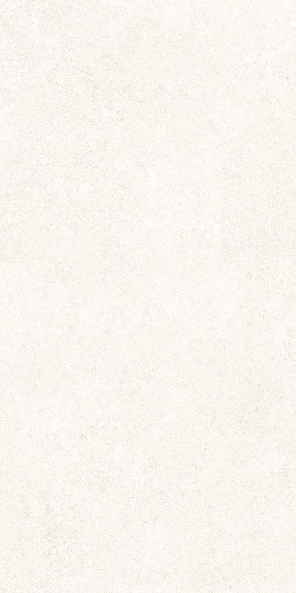 BARSOOM WHITE NATURALE 60X120 | 220 Taps n Tiles
