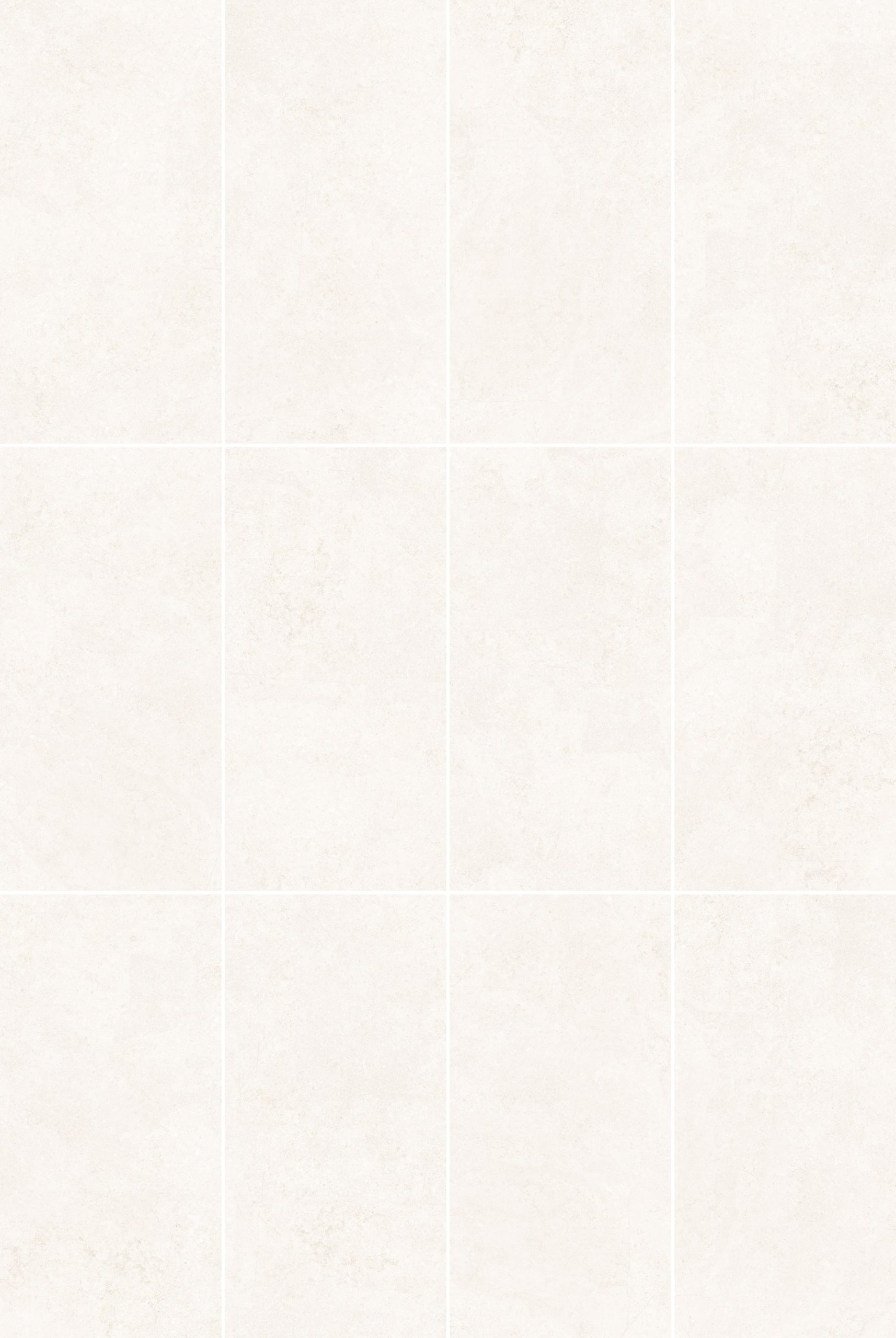 BARSOOM WHITE ANTI SLIP 60X120 | 220 Taps n Tiles