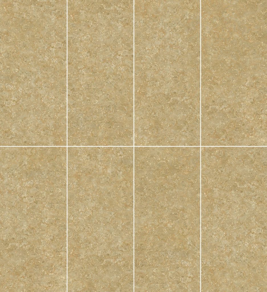 RAFAELO AMBRA NATURALE 60X135- DECOR | 220 Taps n Tiles
